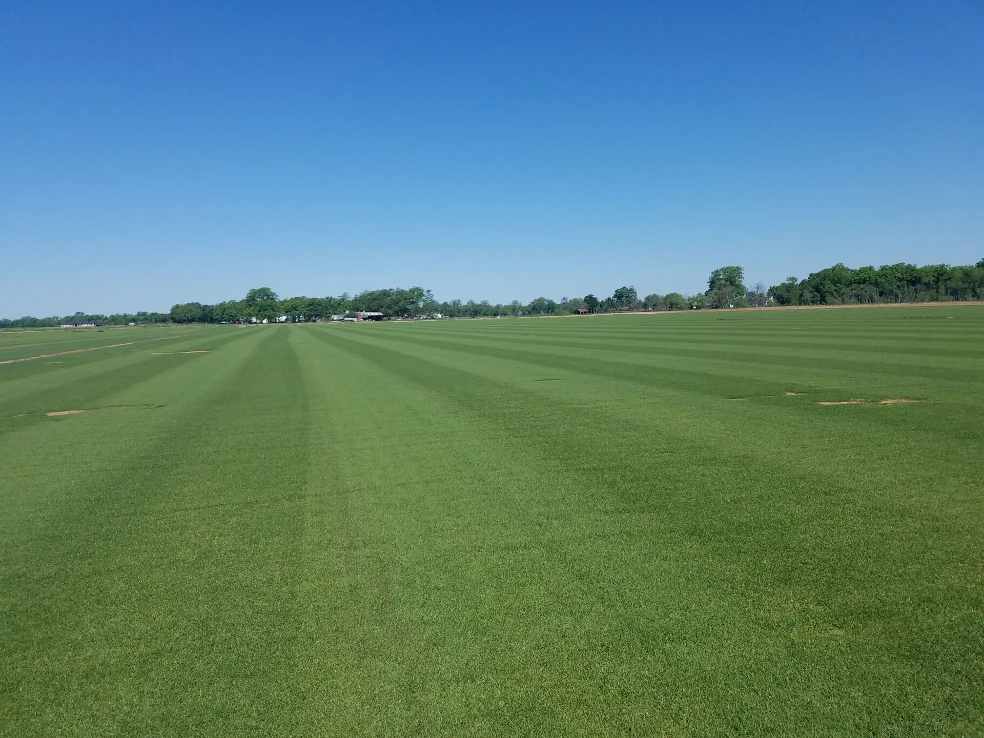 Caney Creek Turf, LLC